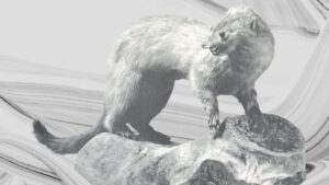 En Mink: The Full Story Behind the Creature and Its Controversial Legacy